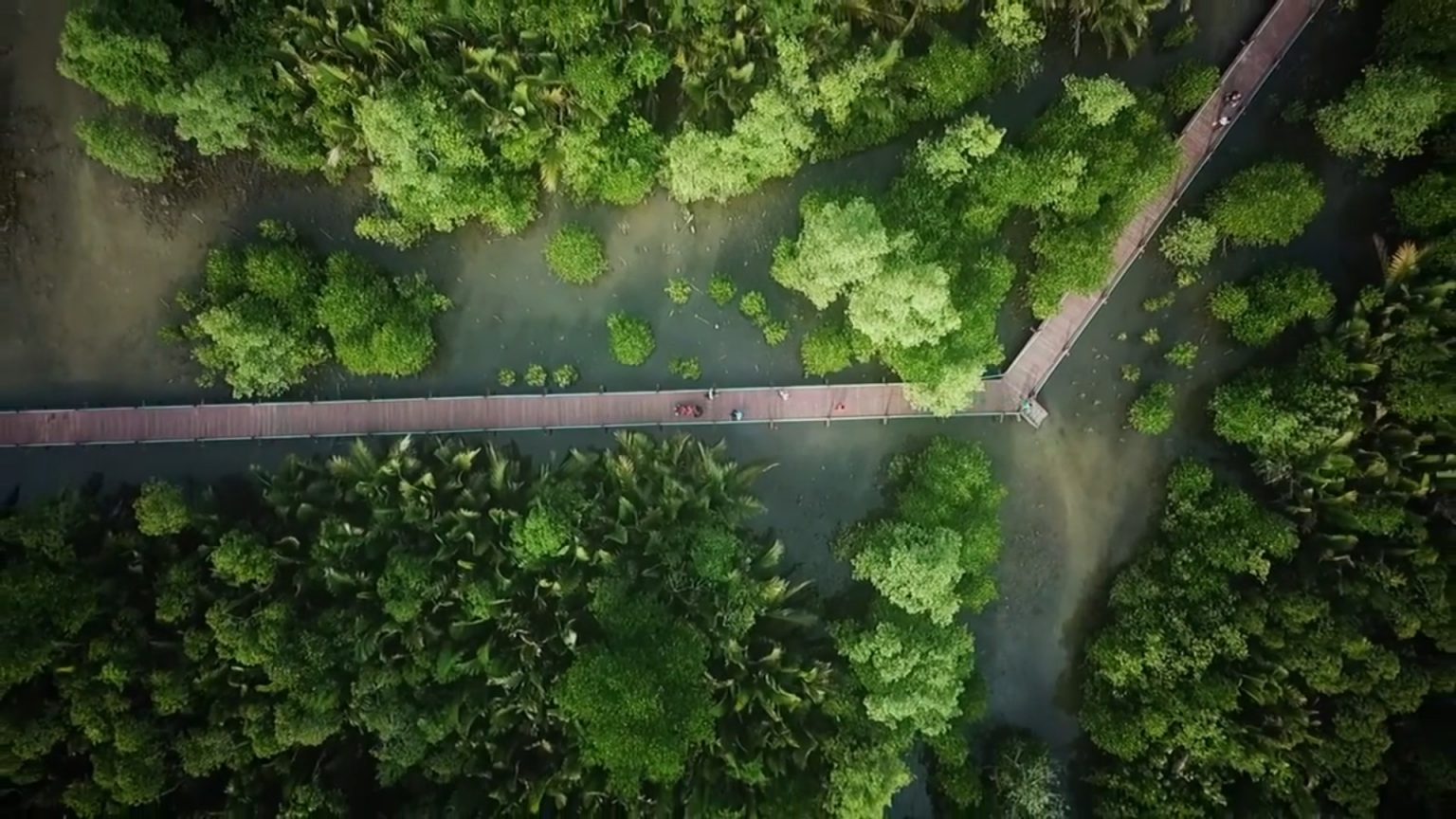 Swamp Water – Lembaga Sumber Air Terengganu (LAUT)